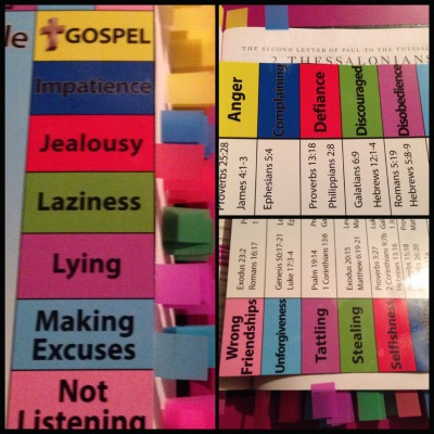 Child Training Bible {Review} | Simple in the Country